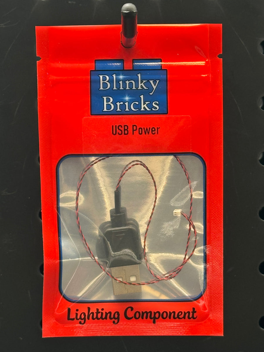 BAM USB Plug – Blinky Bricks